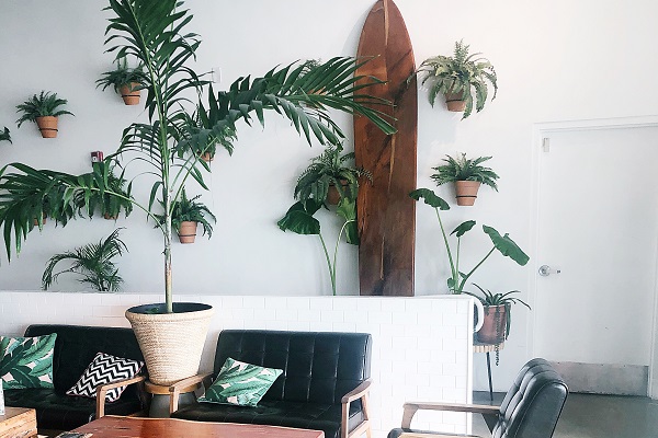 Services | Mitchell Decorators